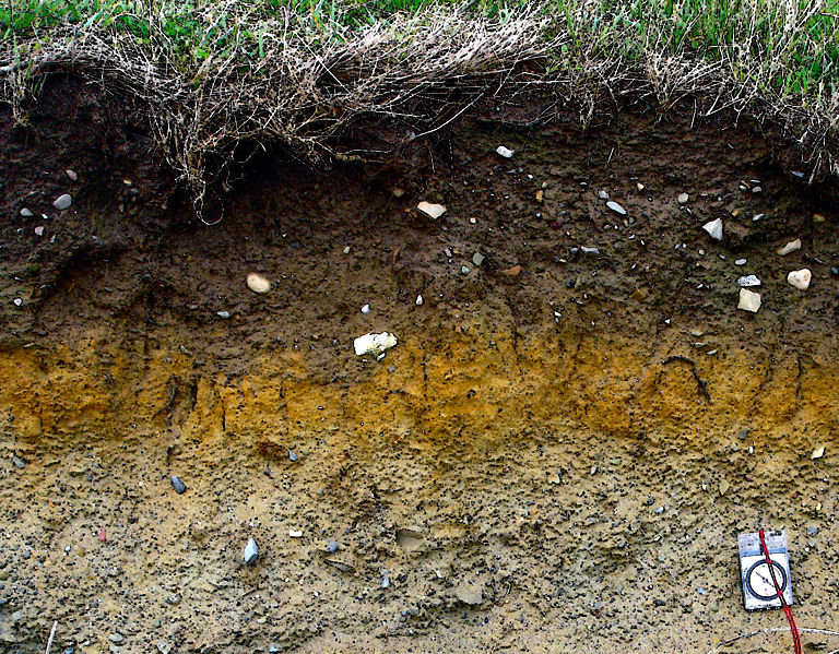 Figure 2 Soil Profile
