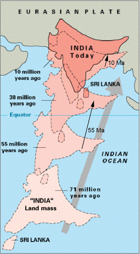 India plate motion vectors