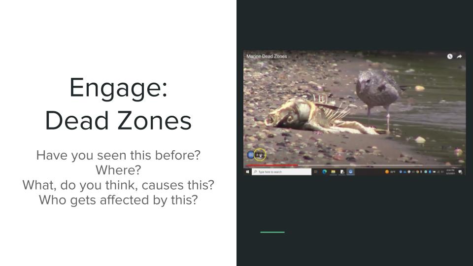 Dead Zones baMEL title slide