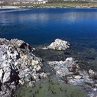 Alkaline Environments