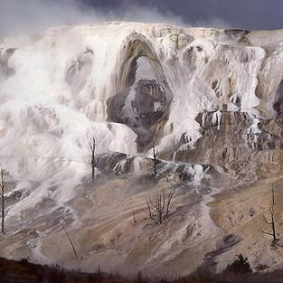 Microbial Life in Extremely Hot Environments