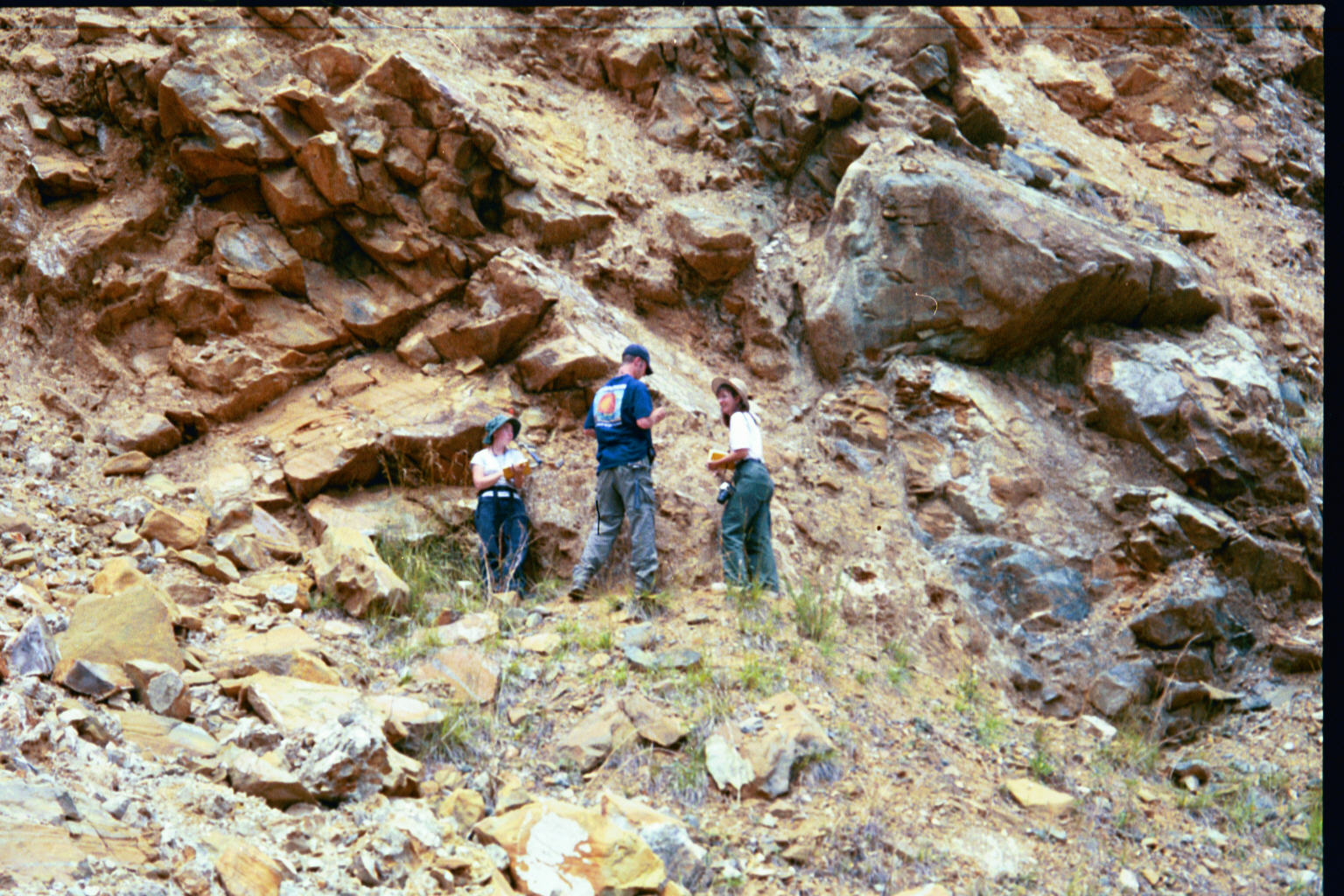 Petrogenesis and Tectonic Implications of Blue Ridge Mafic-Ultramafic Rocks