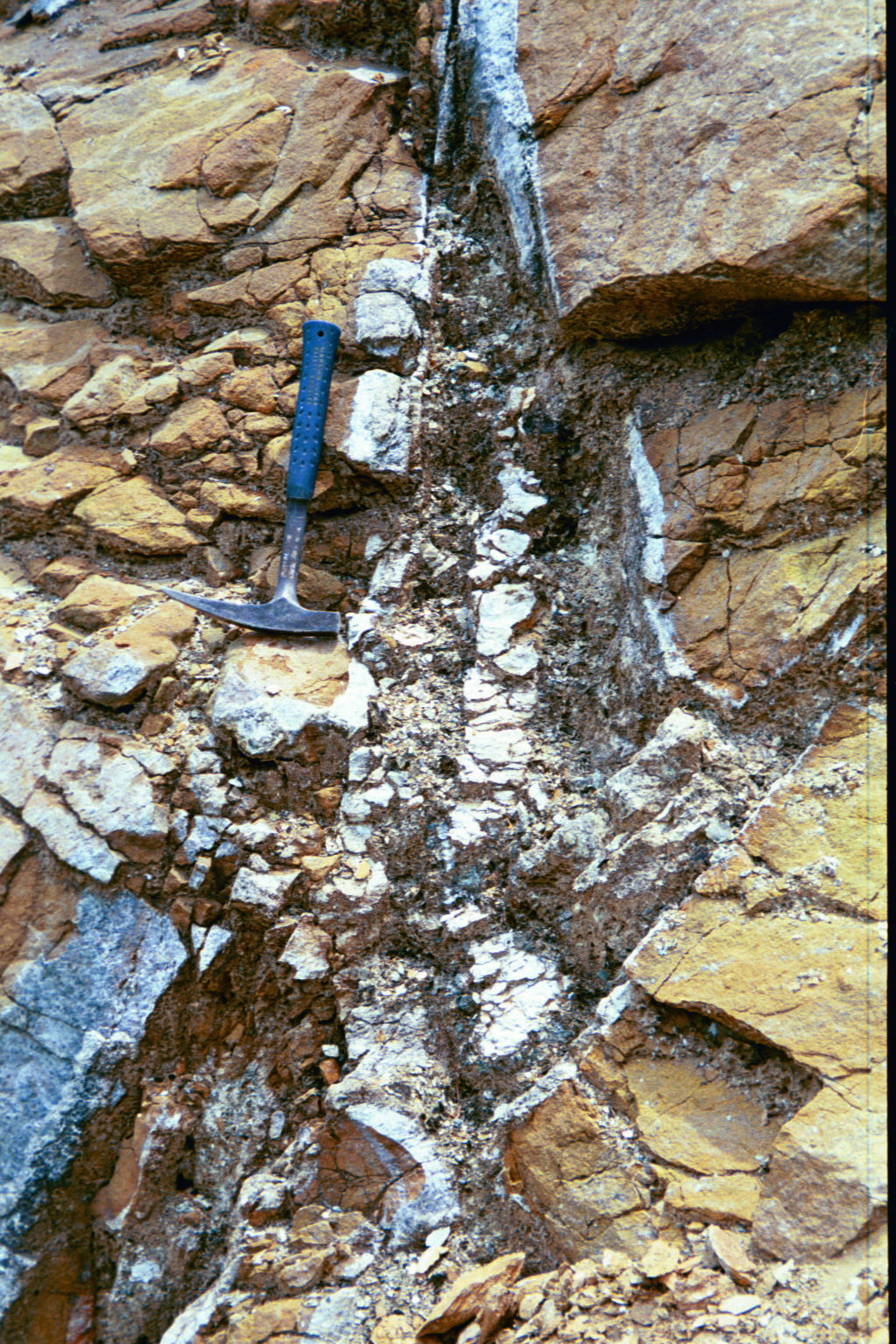 Petrogenesis and Tectonic Implications of Blue Ridge Mafic-Ultramafic Rocks