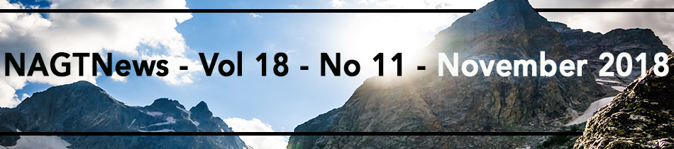 NAGTNews - Vol 18 - No. 11 - November 2018
