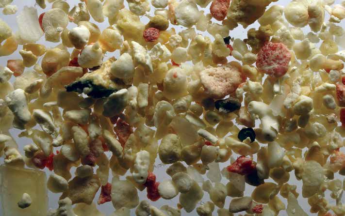 Active Learning: Engaging Students in Marine Sediment Classification