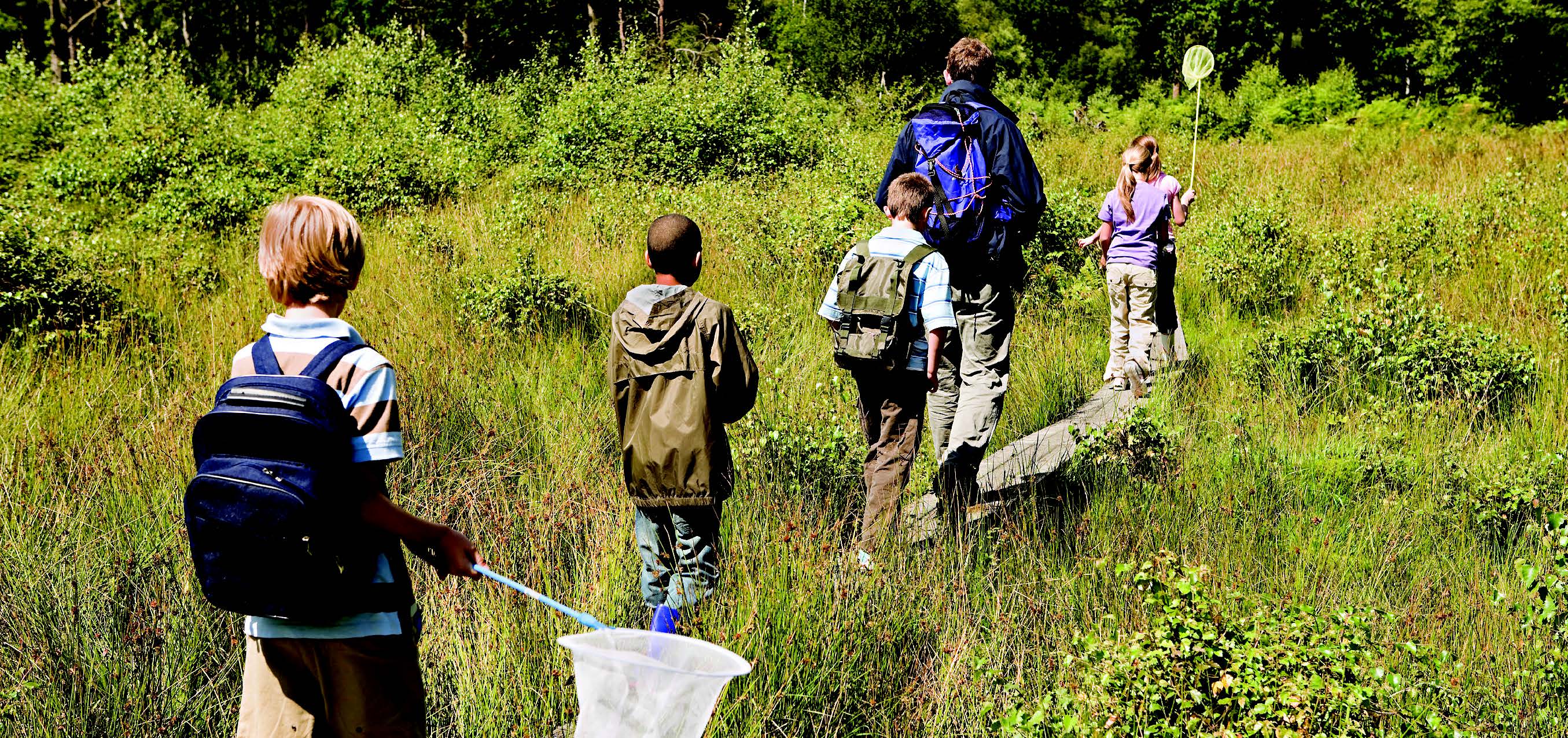 Students in the field with nets.