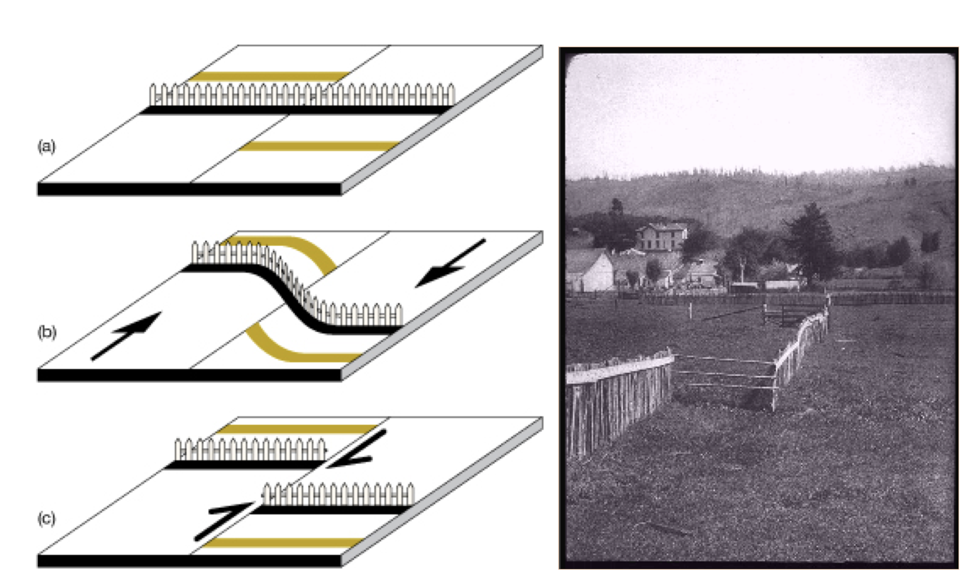 ONLINE EXTRA: The History of Elastic Rebound Theory: How a Big Disaster ...