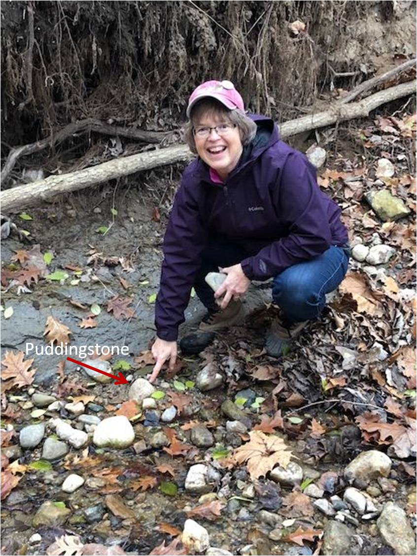 Cheryl Emerson Resnick photo