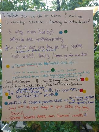 Science Identity Gallery Walk