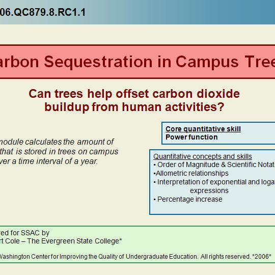 Carbon Sequestration in Campus Trees