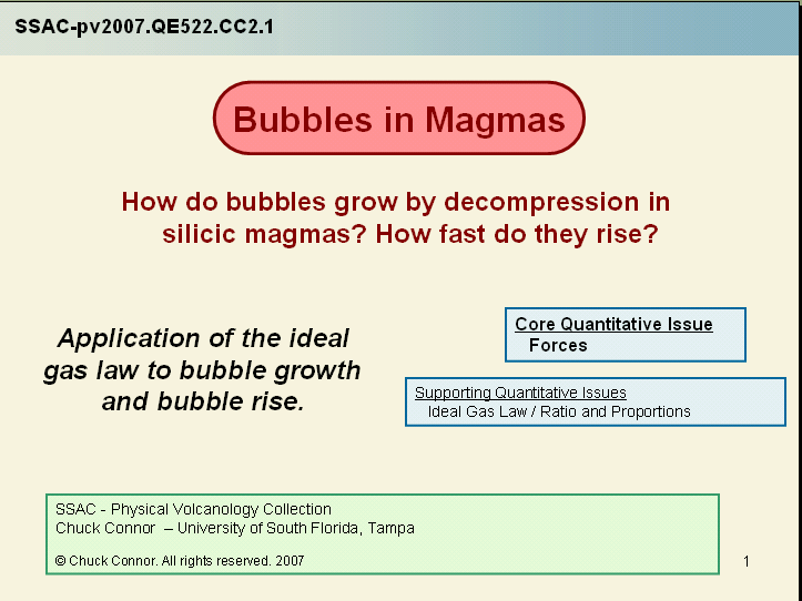 Bubbles in Magmas