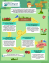 PESB Pathways to Teaching Infographic