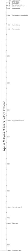 Scaffolding Temporal Reasoning with Geologic Timelines