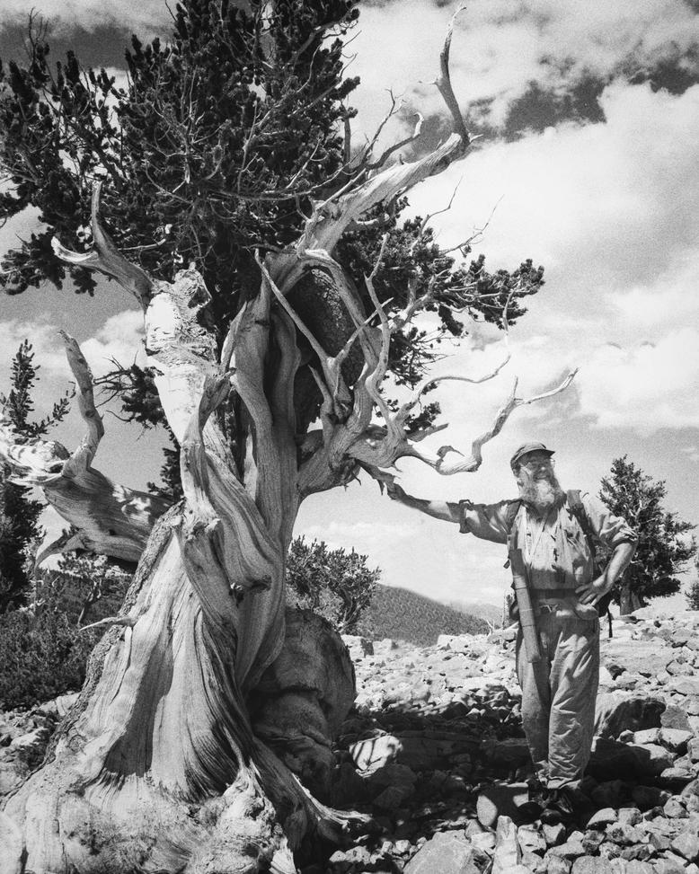 Launching an Expedition