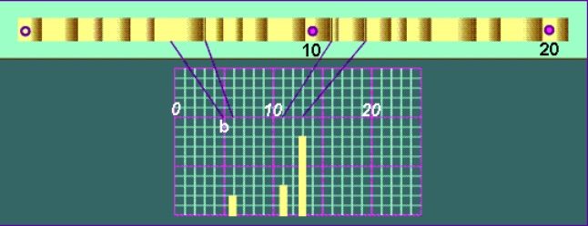 Part 2 - Use a Skeleton Plot to Discover the Age of a Pit House
