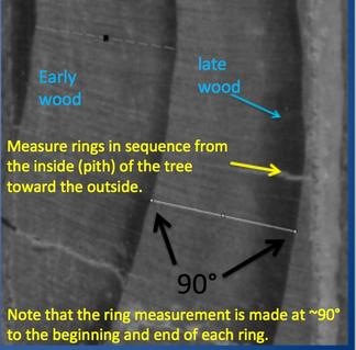 Part 3 - Measuring and graphing Tree-Ring Width