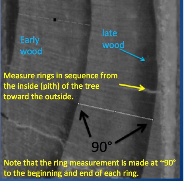 Part 3: Understanding Long-term Stream Flow Using Tree Ring Science