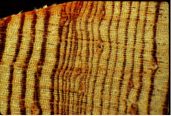 Part 3 - Gathering Historical Drought Data