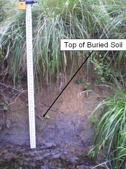 Figure 3. Buried Soil Horizon