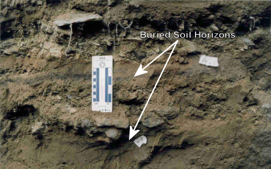 Buried soils in the Alluvial Fan Stratigraphy
