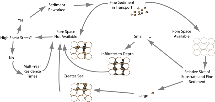 Conceptual Model of Fine Sediment Infiltration