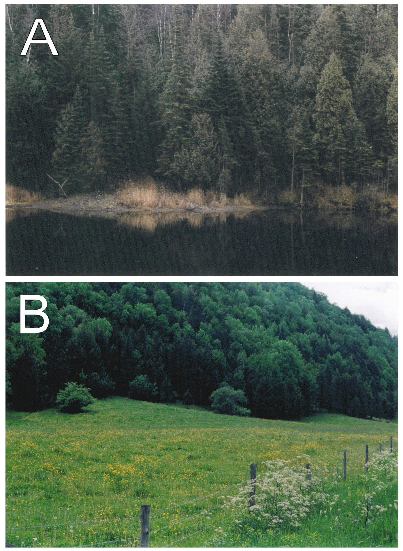 Fan-delta deposition into a river.
