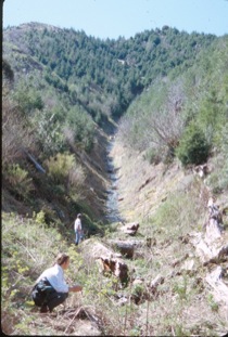 Processes and rates of channel change following disturbance by debris flows