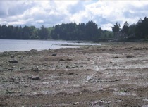 Marine terraces in mid-latitude settings: the case of the Oregon USA coast