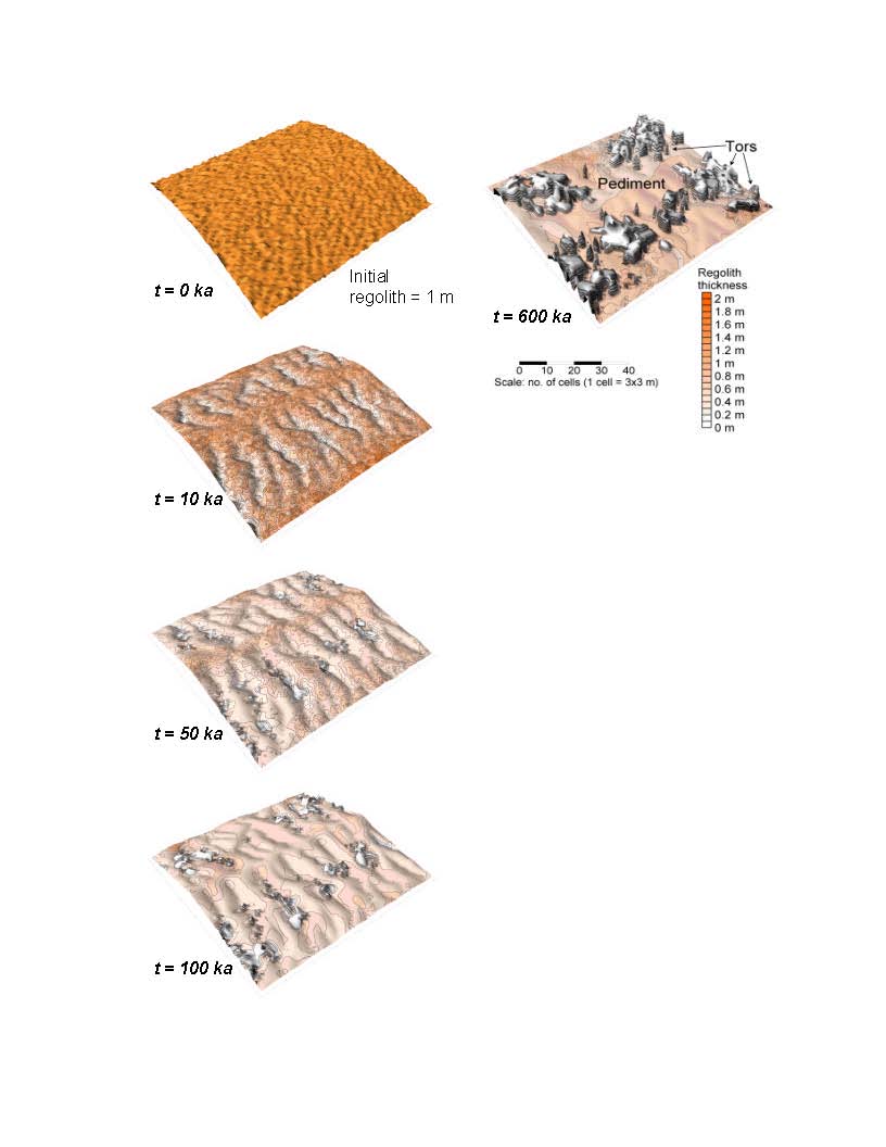 Figure 4—Simulations of tor development