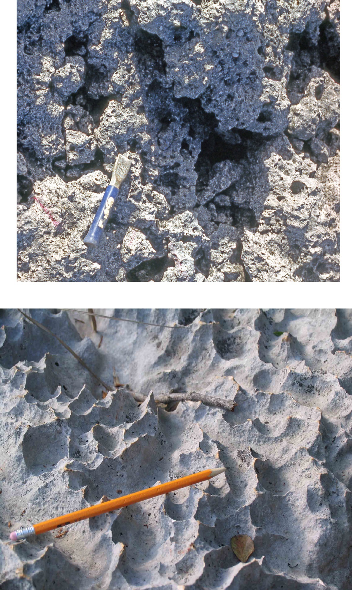 Figure 8: Epikarst ("Moon Rock")