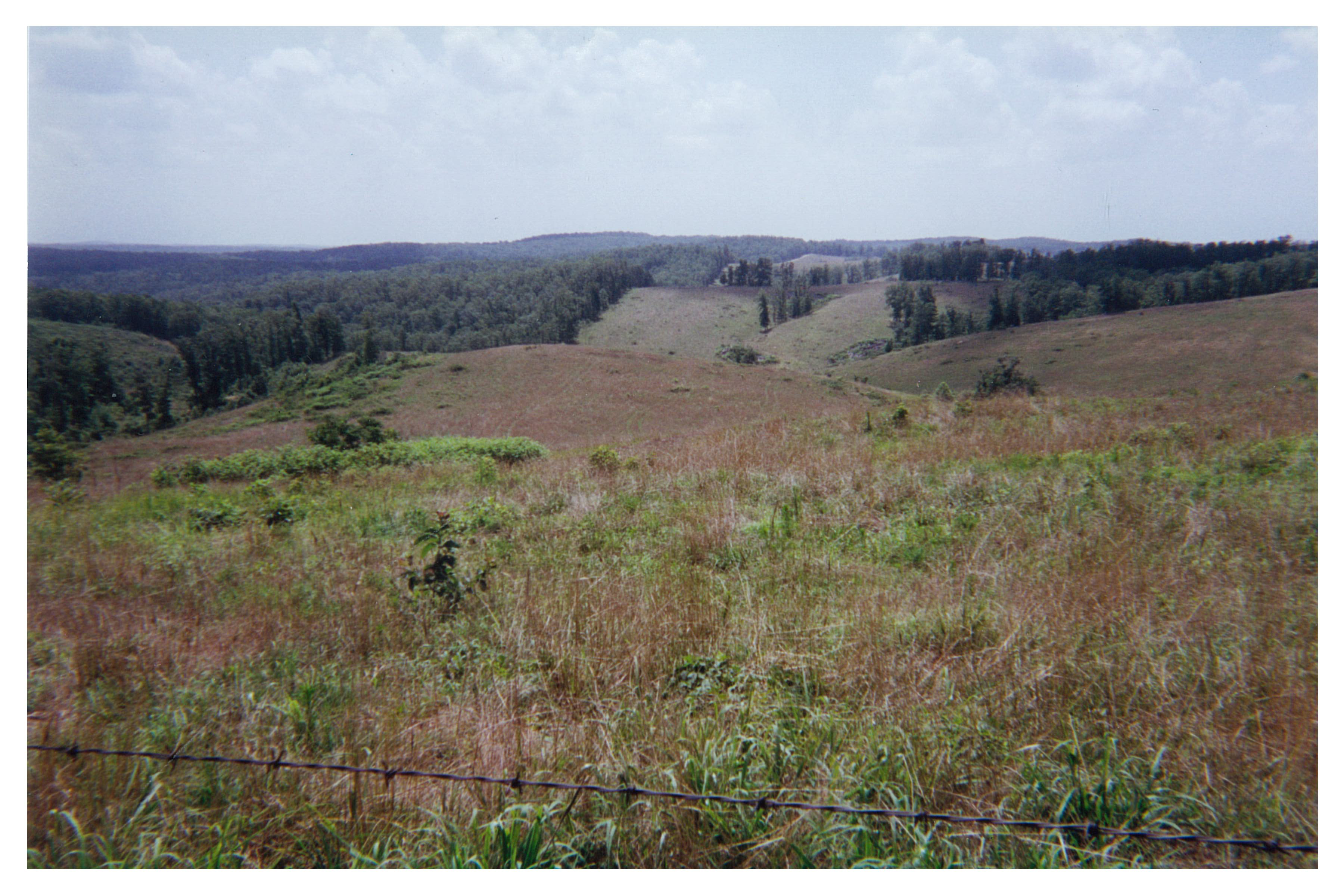 forest ranch border from the road