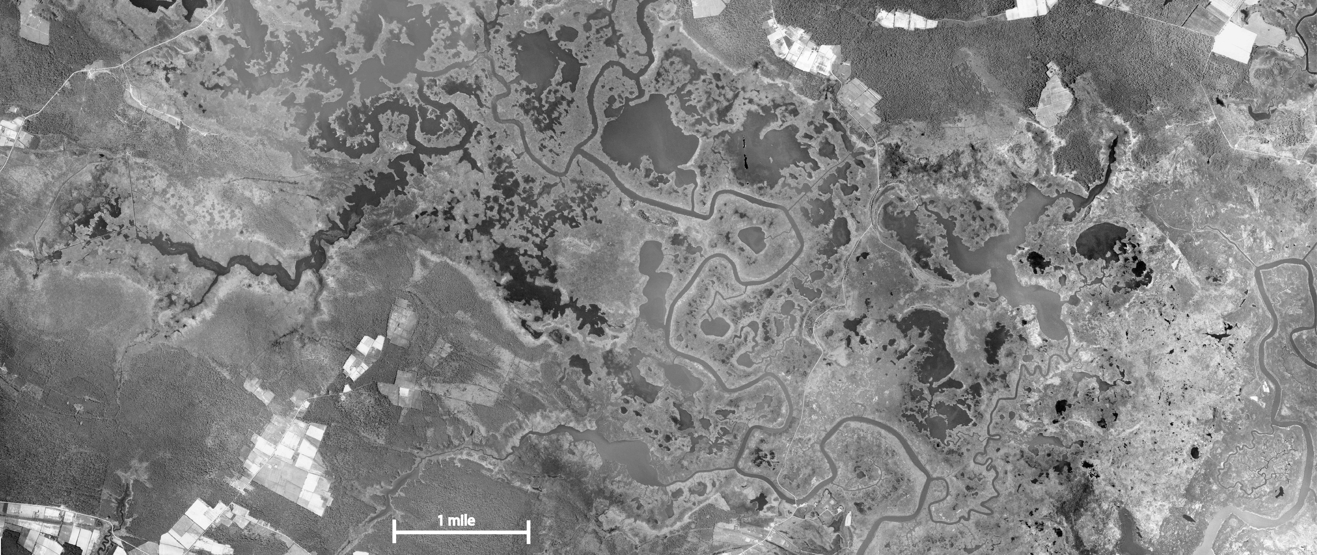 Fig. 2. Marsh Extent in 1938