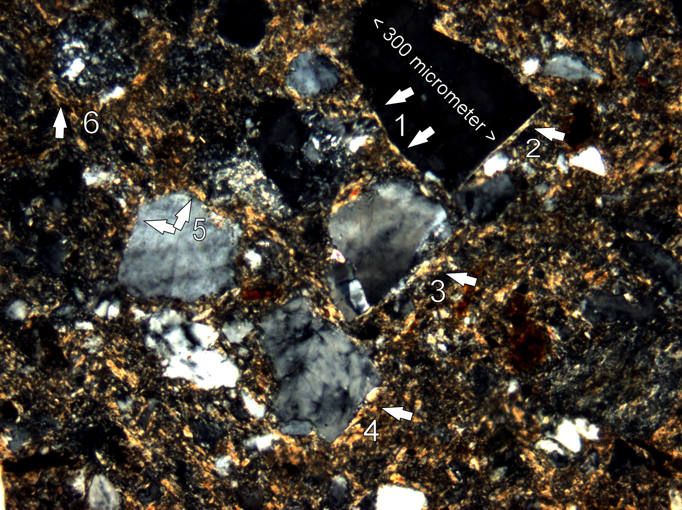 Fig. 1: Microscopic photo of an aggregate