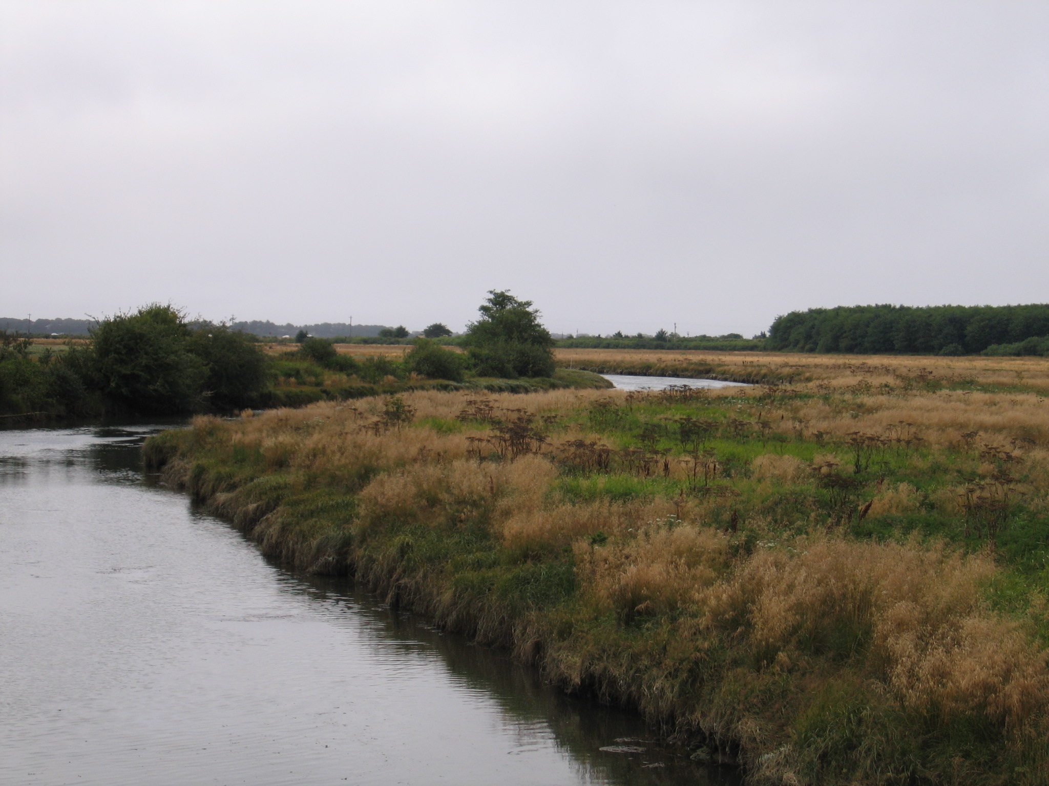 Photo of Oregon coastal marsh