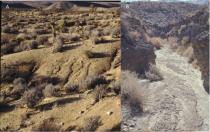 The influence of weathering and soils on the geomorphic expression of ...