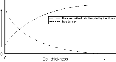 tree_density_volume_bedrock.jpg